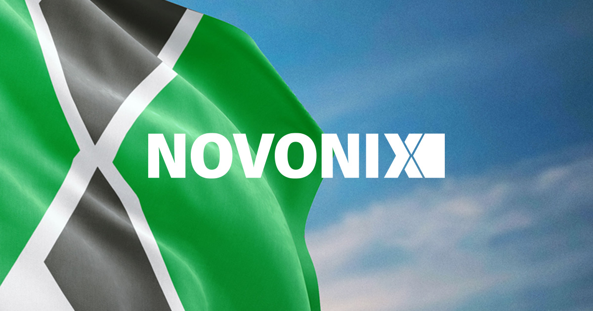 The Use of LiFSI and LiTFSI in LiFePO4/Graphite Pouch Cells to Improve High-Temperature Lifetime